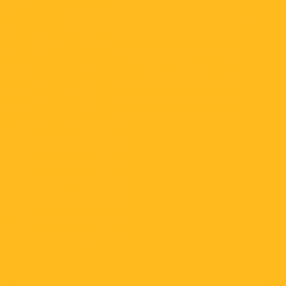 #71 DeepYellow深黃 - 拾歲影像