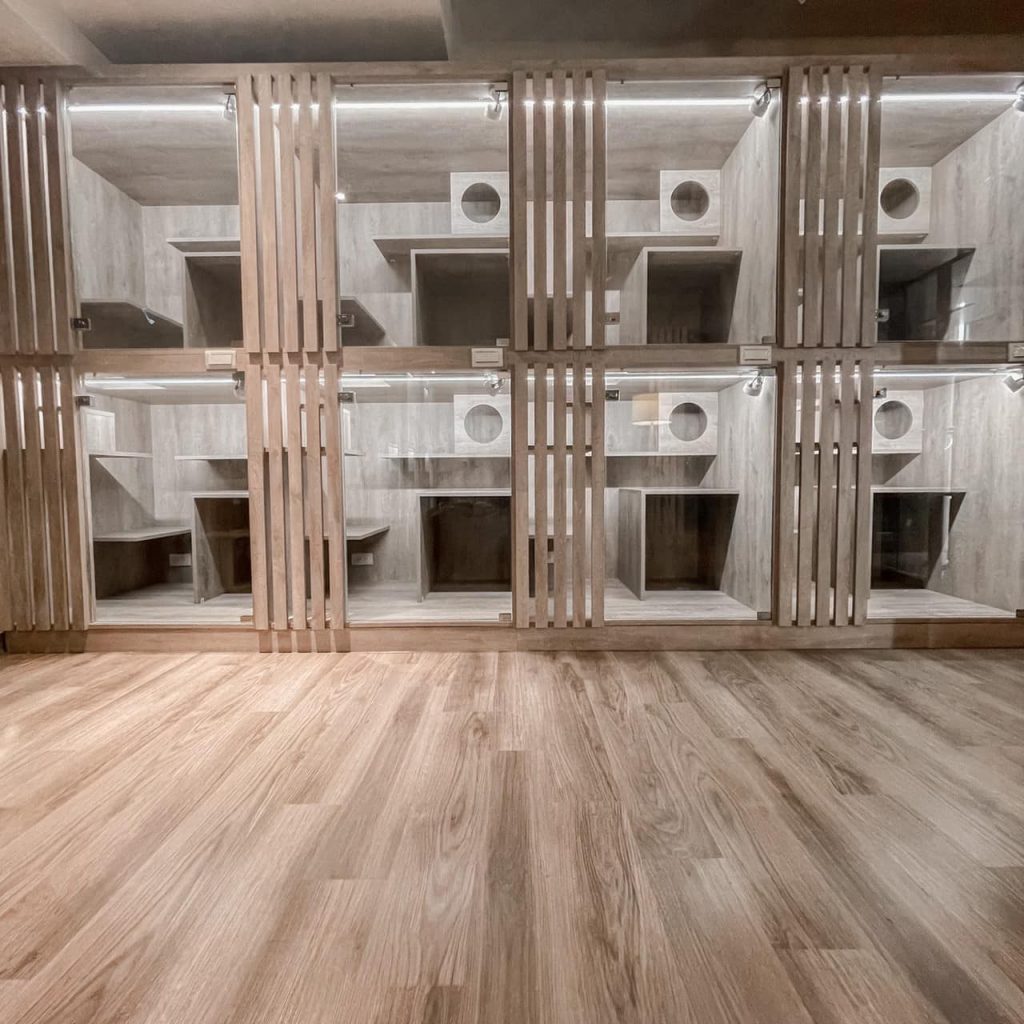 三重蘆洲 七星級優質純貓旅館 - 私房貓旅